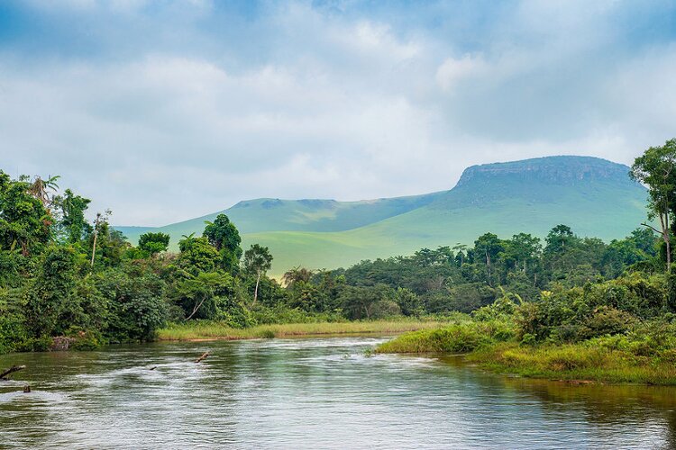 Apprenez le lingala avec la méthode d'apprentissage à long terme (2019)
